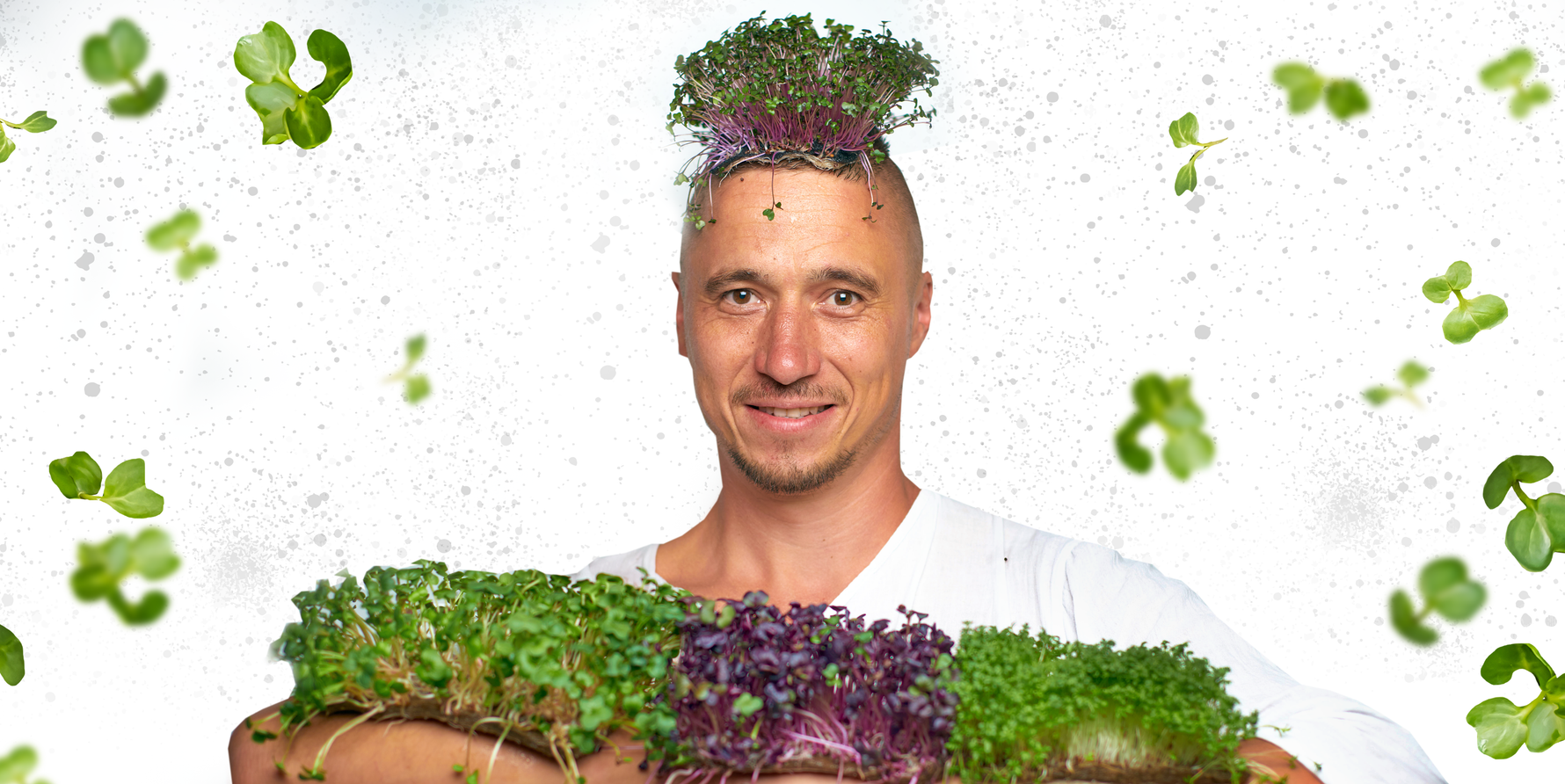 Green Chief - лучшие семена микрозелени и оборудование для выращивания ...